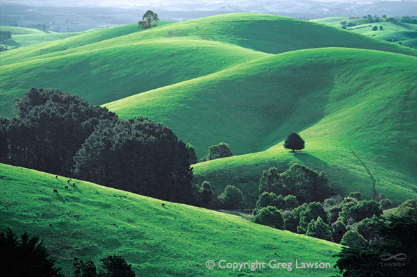 Victorian Spring – Greg Lawson Galleries - Art Tasting Room
